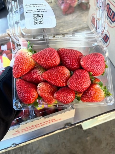 February 18, 2022 - Bobalu Berries